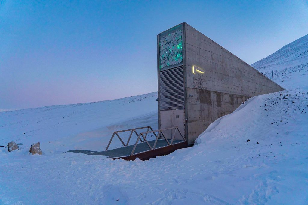 Svalbard Global Seed Vault Penyimpanan Benih Cadangan untuk Bumi | Portal Wanita Muda